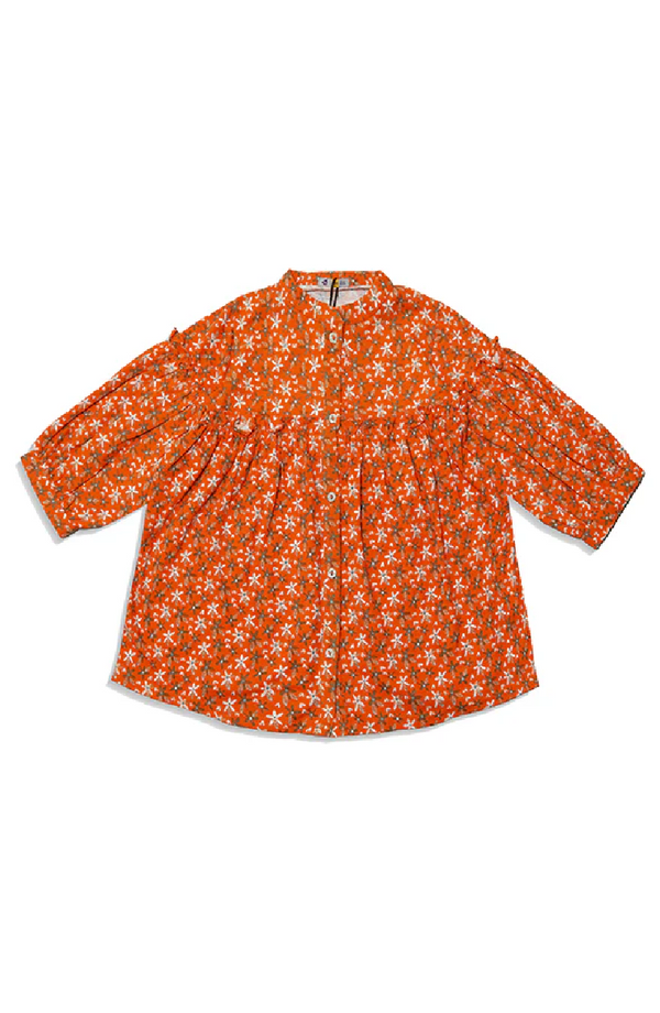 Fig Kids – Fig Kids